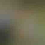 Bareon Pro - Zdravé a protiskluzové bosé boty (Unisex) | BAREON PRO ...